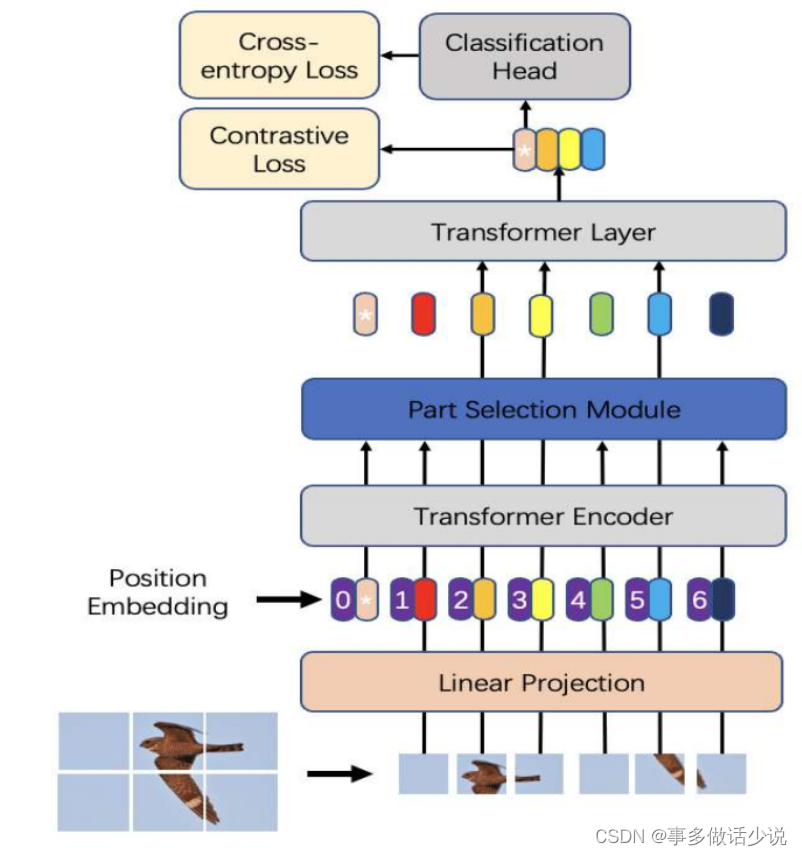 【论文笔记】TransFG: A Transformer Architecture for Fine-Grained Recognition_fine-grained recognition ...