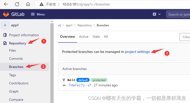 GitLab设置及取消保护分支_gitlab取消分支保护-CSDN博客