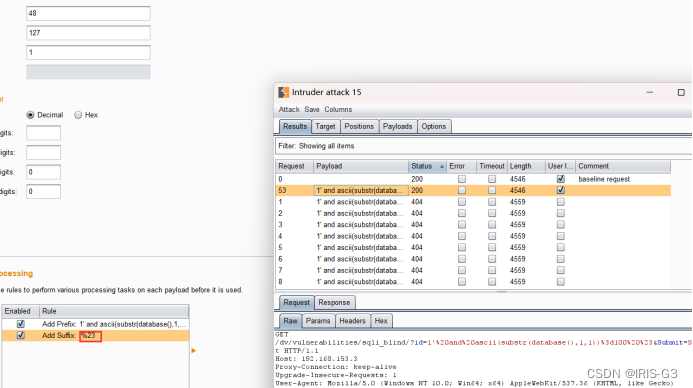 burpsuite 由一个#引发的400错误（intruder attack）_burpsuite渗透状态400是否含有漏洞-CSDN博客