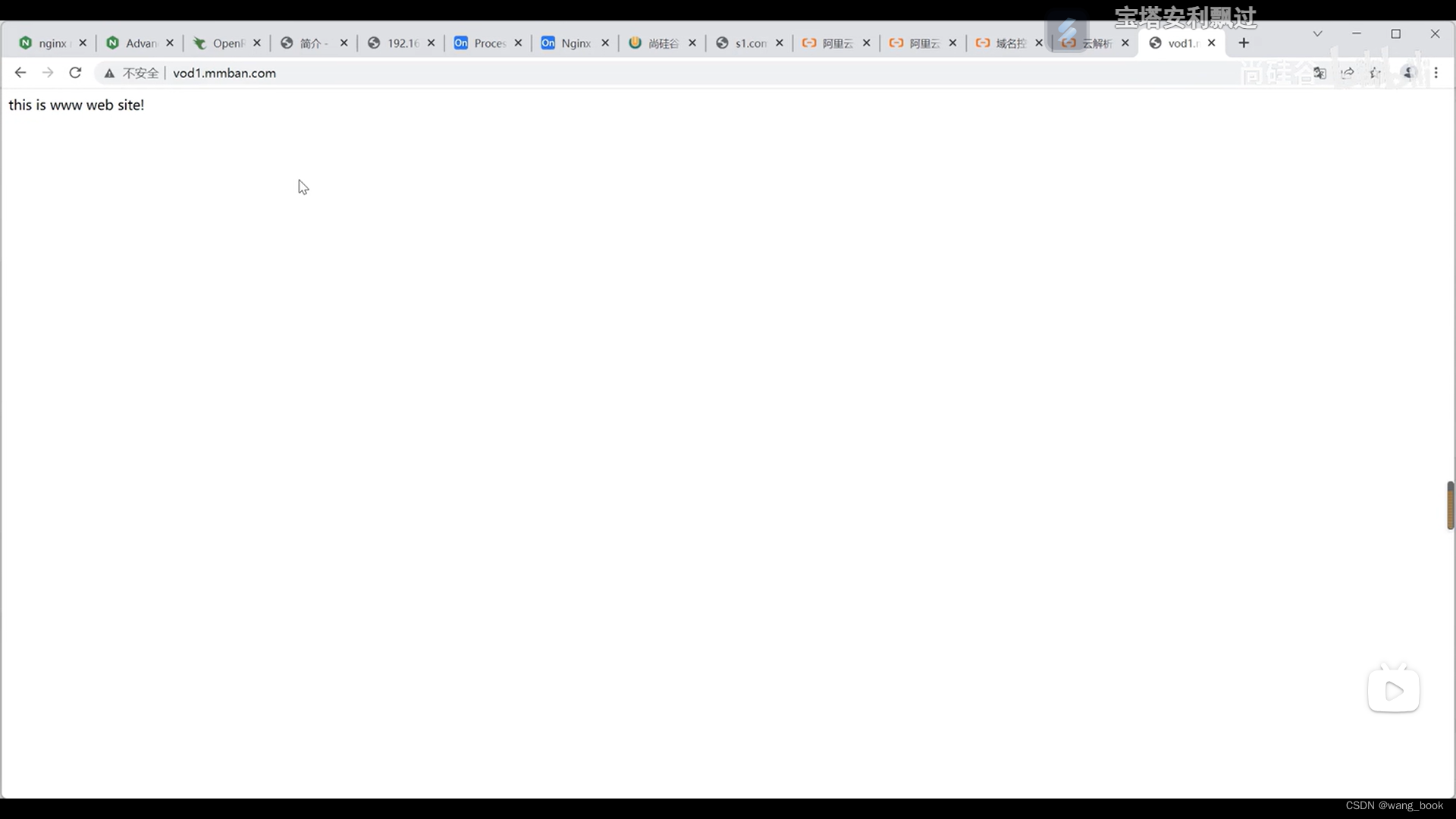 尚硅谷Nginx学习(004 虚拟主机)_hosts 解析 通配符-CSDN博客