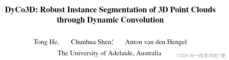 论文阅读 DyCo3D: Robust Instance Segmentation of 3D Point Clouds through Dynamic Convolution-CSDN博客