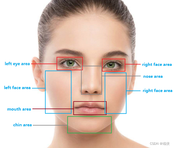 Human face collection data set auxiliary manufacturing tools -human ...
