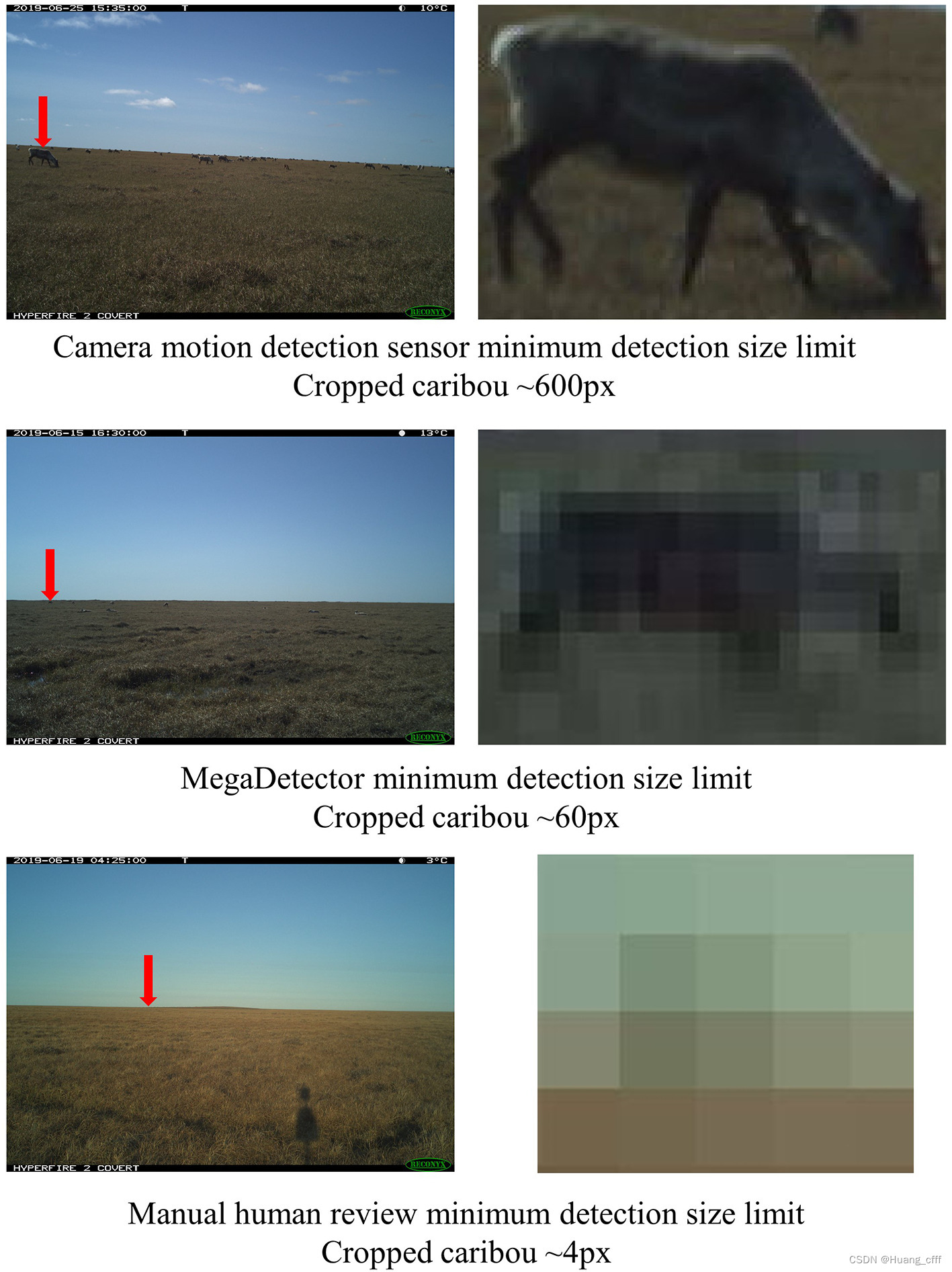 Human vs machine Detecting wildlife in camera trap images 论文阅读_megadetector模型-CSDN博客