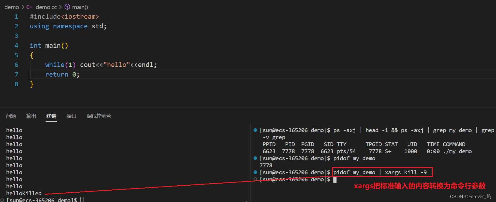 传输层协议——UDP_使用udp协议在两台主机之间传输文件-CSDN博客