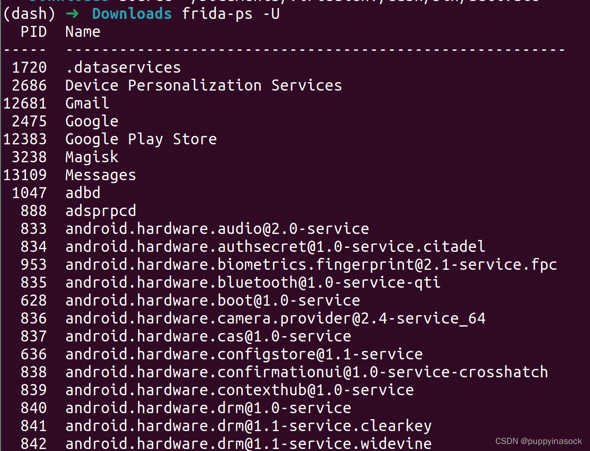 How to install Frida on Linux_linux frida 安装-CSDN博客