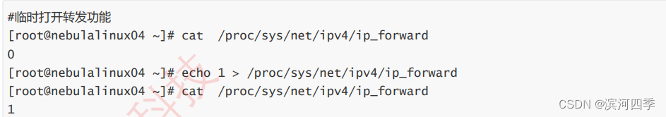 【Linux安全管理】iptables模块的使用与FORWARD转发_iptables forward-CSDN博客