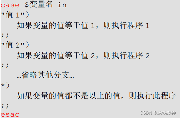 Shell编程入门(超全学习笔记) Csdn博客