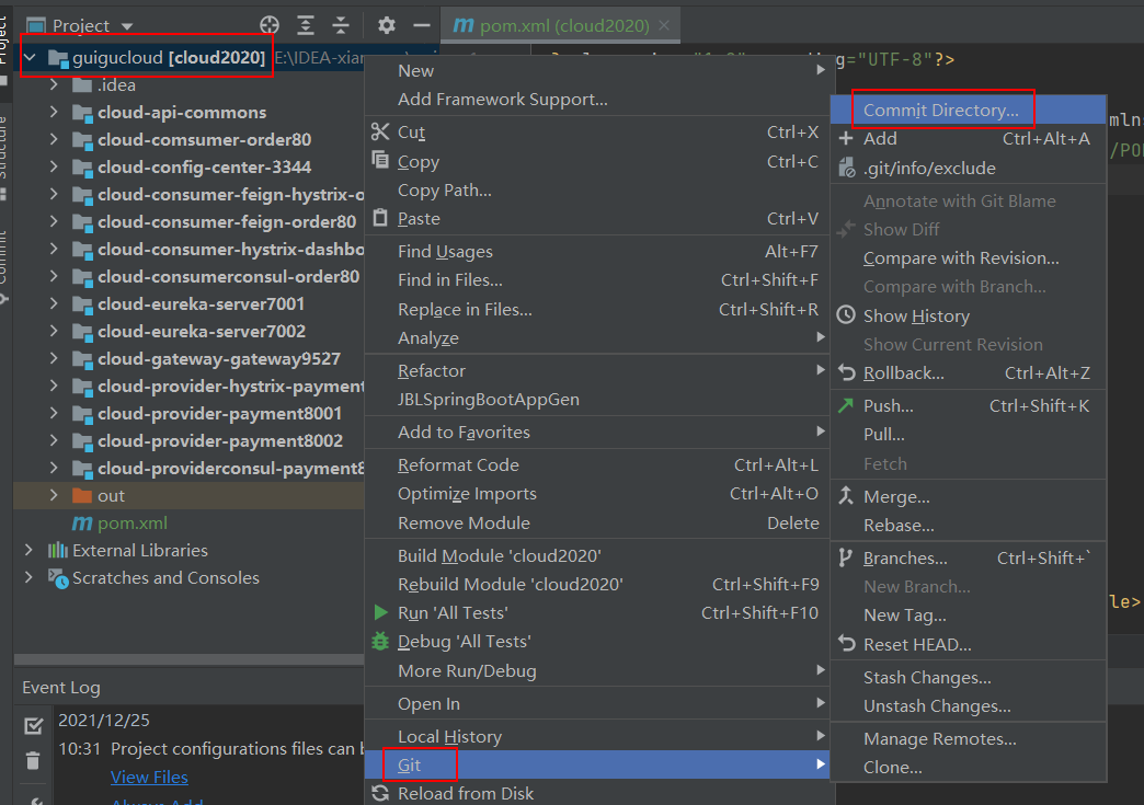 IntelliJ IDEA 2021 使用Git_idea 2021 git-CSDN博客