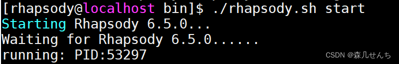 【Rhapsody学习笔记（二）】Linux环境下的Rhapsody集成引擎安装部署-CSDN博客