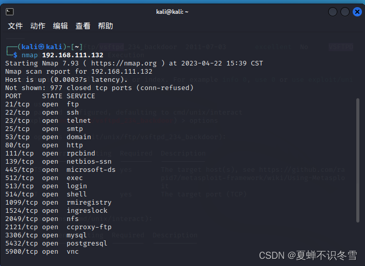 Kali利用ftp端口（21）漏洞攻击metasploitable2 Linux靶机（笑脸漏洞）vsftpd 222 漏洞 Csdn博客