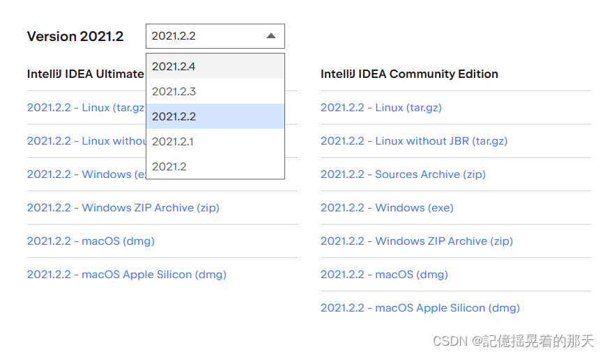 IDEA2021.2.2下载安装-CSDN博客
