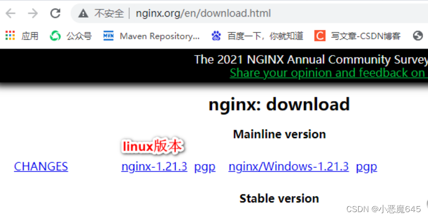 Nginx Csdn博客 