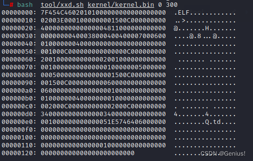 8 Day：向内核迈进--加载内核_kernel内核中elf文件的加载-CSDN博客