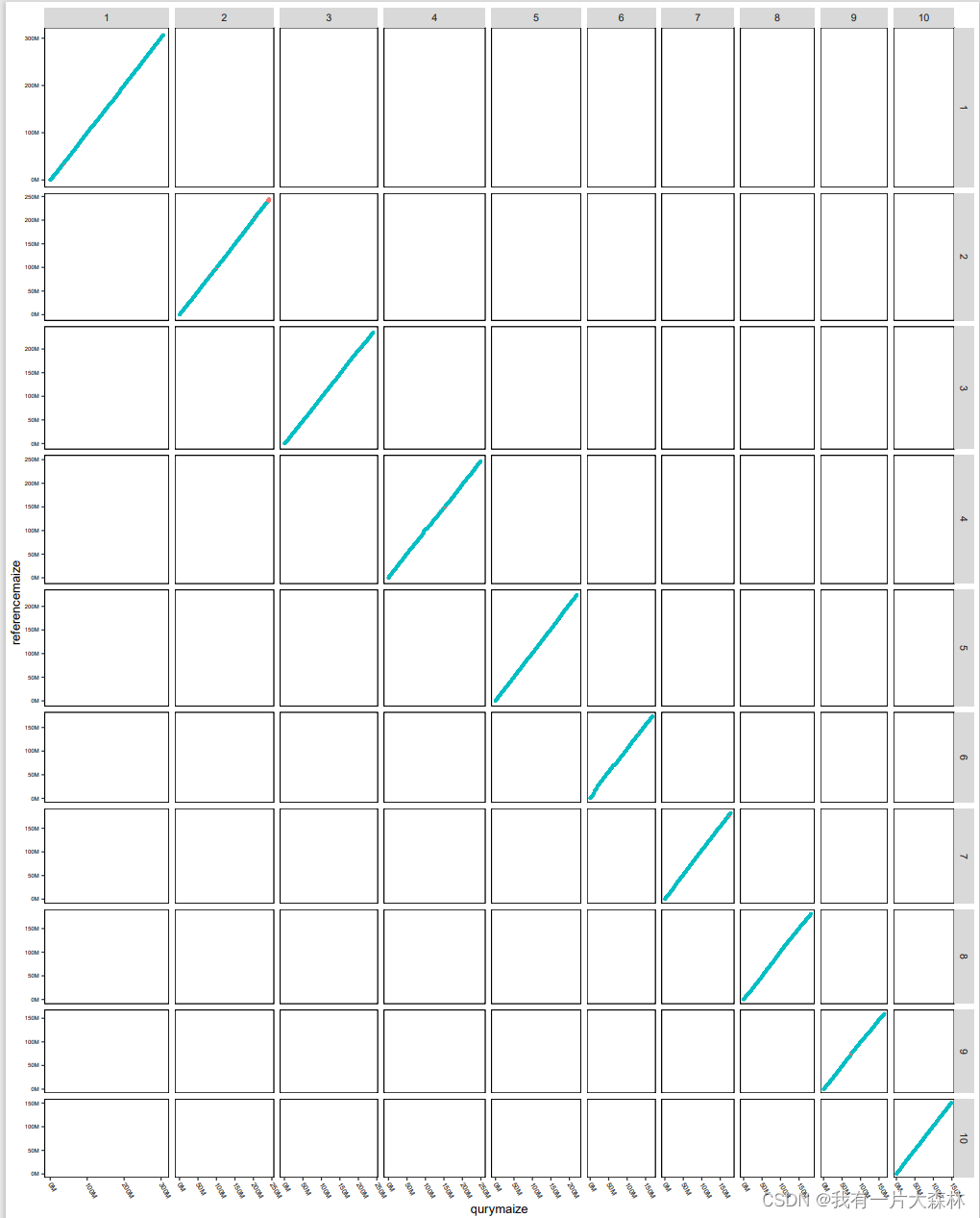 anchorwave进行复杂基因组比对（3）_maf 比对查看-CSDN博客
