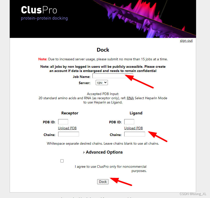 HDOCK 蛋白蛋白对接软件使用；LZerD、pyDock、ClusPro网页在线对接 - 编程宝典