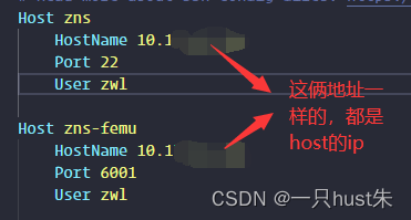 ubuntu宿主机ssh远程连接qemu虚拟机以及如何用vscode远程连接femu_qemu ssh-CSDN博客