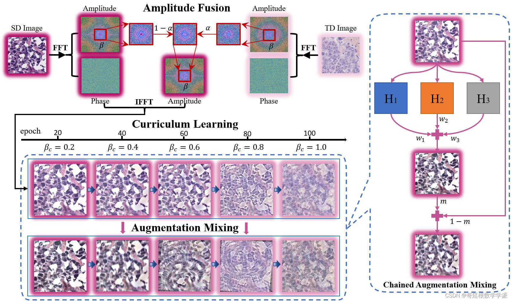 可信深度学习trustworthy Deep Learning相关论文dynamic Regularized Sharpness Aware Minimization I Csdn博客 4974