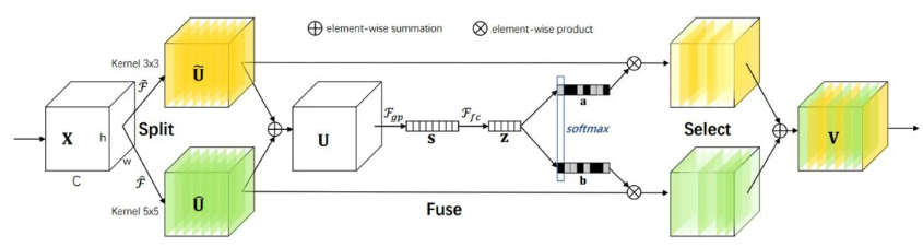 ResNet变种（ResNet-B/C/D、Res2Net、ResNeXt、ResNeSt）_resnet-d-CSDN博客