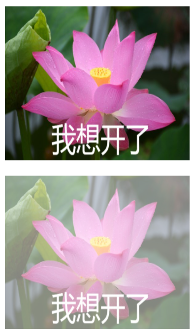 Css滤镜（filter）css Filter Csdn博客 3618