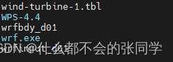 WRF学习笔记之三：使用ERA5数据驱动并运行WRFV4.4（一层嵌套）/WRF运行实录/WRF报错（踩坑）记录_era5驱动wrf-CSDN博客