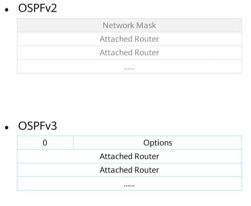OSPFv3报文讲解（与OSPFv2的区别）_ospfv2和ospfv3认证区别-CSDN博客
