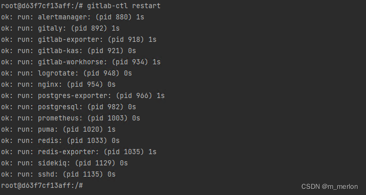 服务器断电导致gitlab一直重启，postgresql服务timeout_gitlab puma 一直重启-CSDN博客
