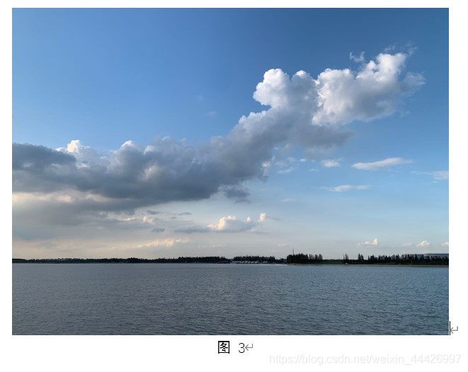 Automatically number pictures or tables in Word - Programmer Sought