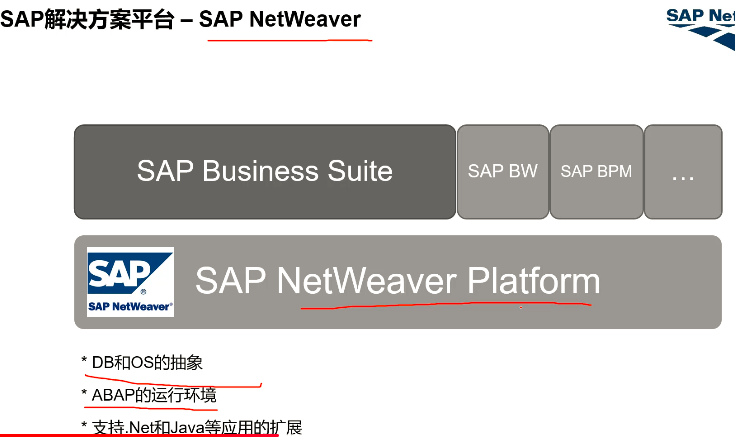 SAP ERP的版本演变基础知识_sap b1版本简介-CSDN博客