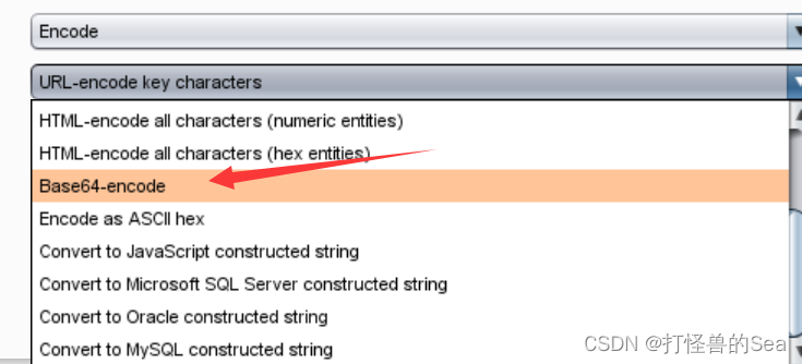 CTF-Web21（爆破）_抓包authorization-CSDN博客