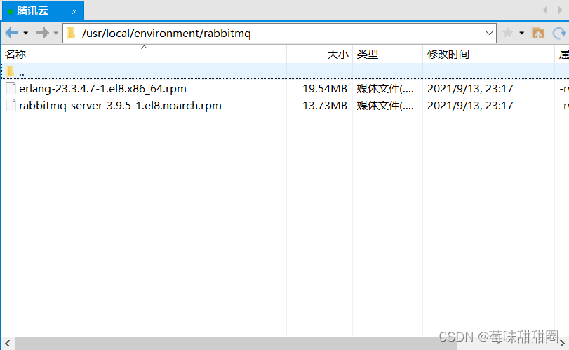 centos8.0 安装rabbitmq_centos8 安装rabbitmq 安装延迟队列-CSDN博客
