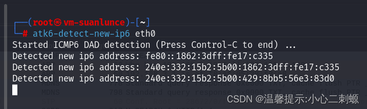 Thc-Ipv6 使用-CSDN博客