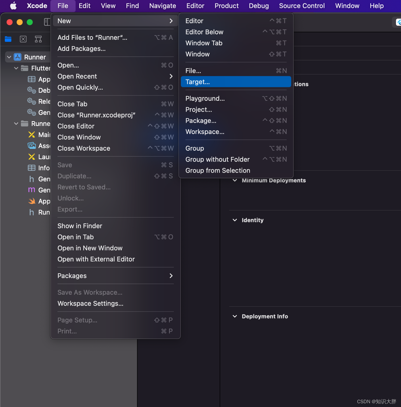 Flutter教程之如何使用 Flutter 创建 Dynamic Island 和 ActivityKit(教程源码)_apple activitykit-CSDN博客