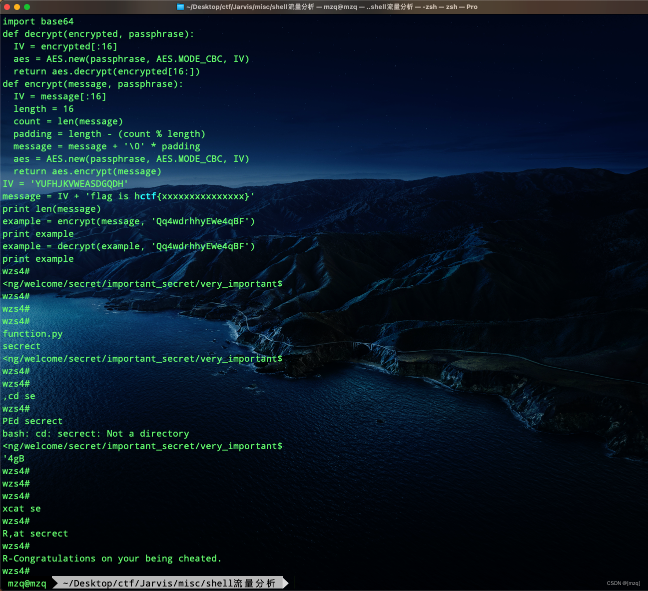 Jarvis OJ shell流量分析_oj shell流量分析找flag-CSDN博客