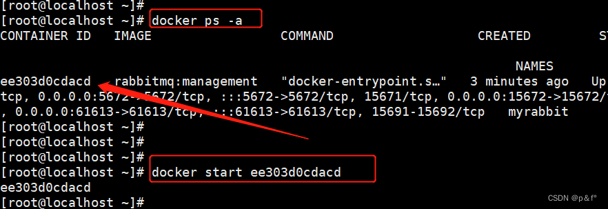 Docker安装rabbitmq Docker 安装rabbitmq P&f°的博客 Csdn博客