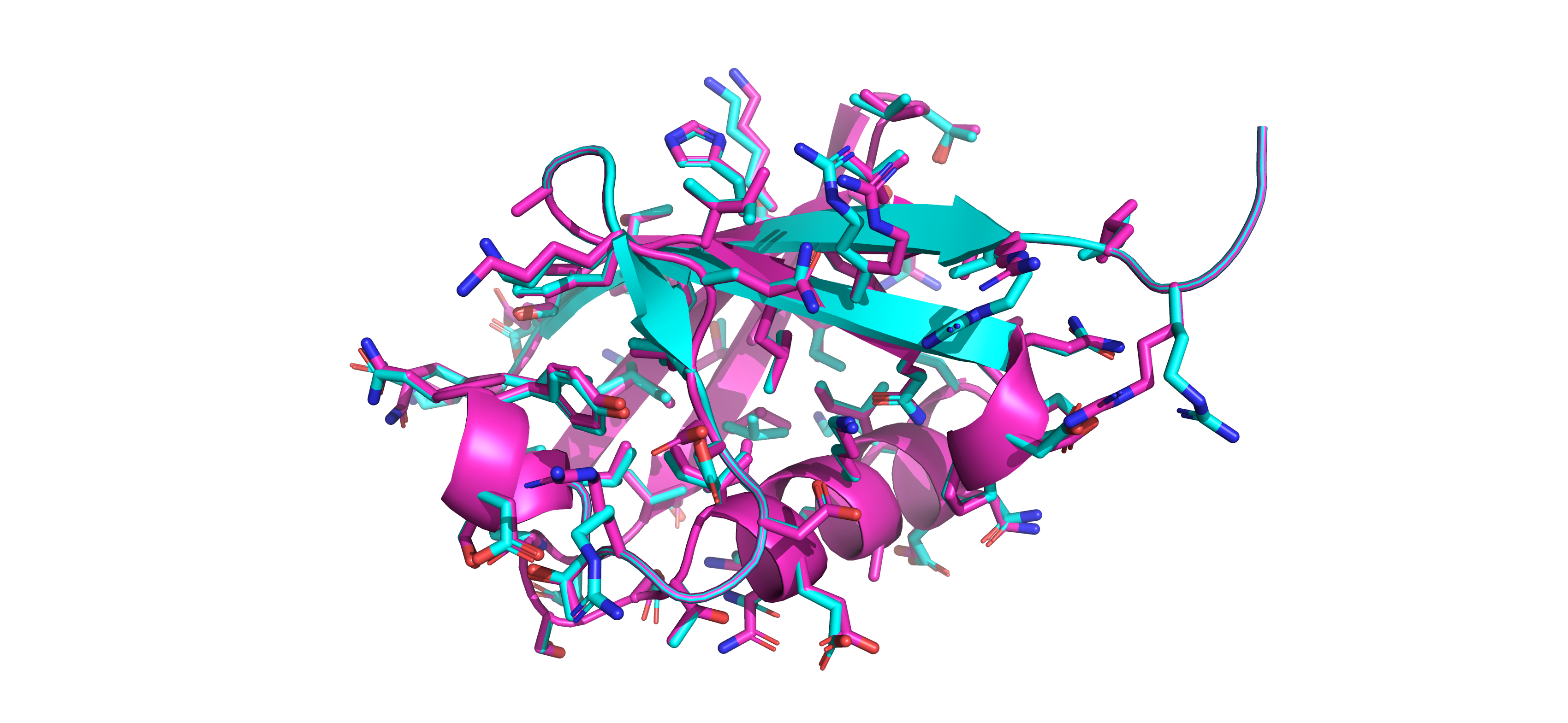 Rosetta Tutorial 11 & 12 翻译 | 主要为 Relax 部分_rosetta relax-CSDN博客