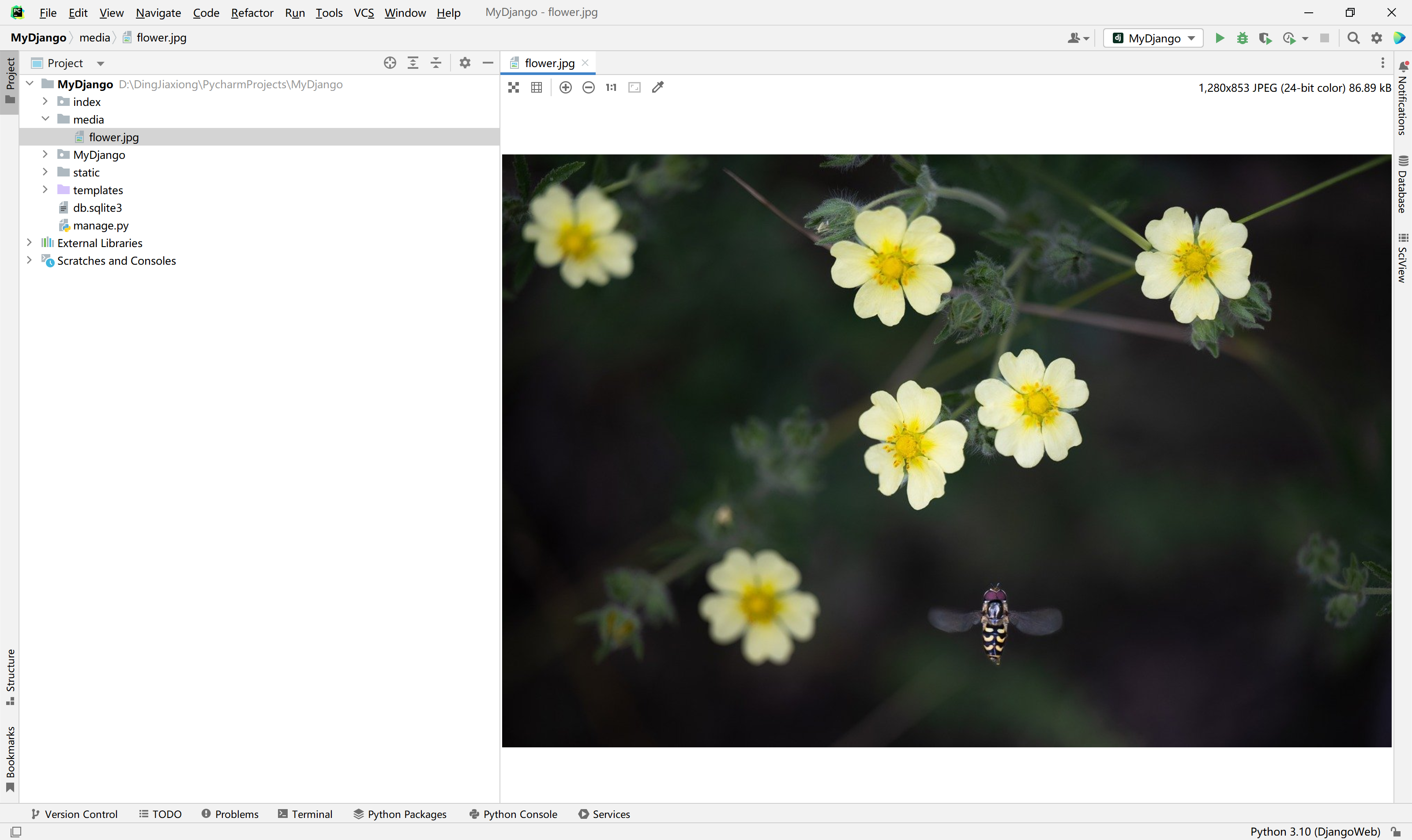 Django Web应用开发学习笔记 第2章 Django配置信息 22 资源文件配置 224 媒体部署——mediadjango Media Csdn博客