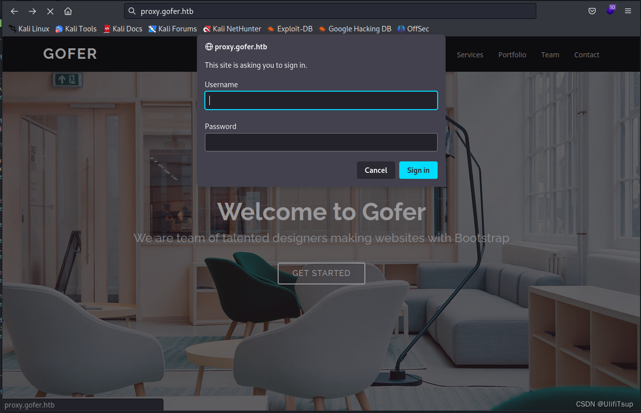HTB Gofer Writeup-CSDN博客