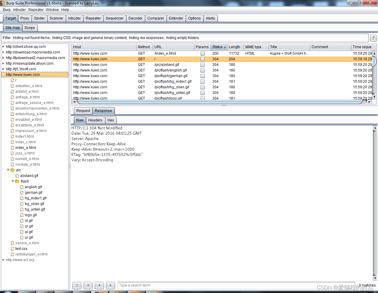 Burp Suite-第五章 如何使用Burp Target_burp target site map-CSDN博客