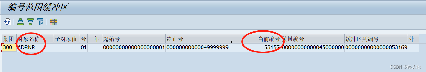 Dbsqlduplicatekeyerrorabap Dbsol Duplicate Key Error Csdn博客