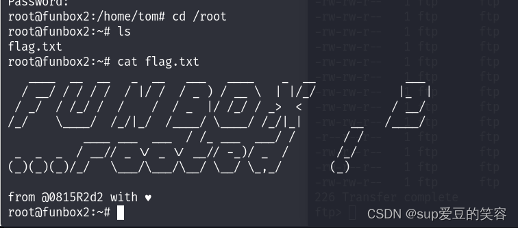 FunBox系列FunBox_2-CSDN博客