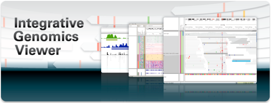 【软件介绍】IGV软件的安装和基本介绍_integrative genomics viewer-CSDN博客