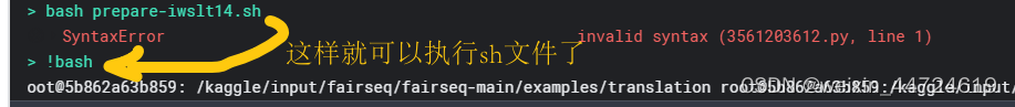 rough的下载；kaggle的路径、执行sh文件_kaggle能打开shell吗?-CSDN博客