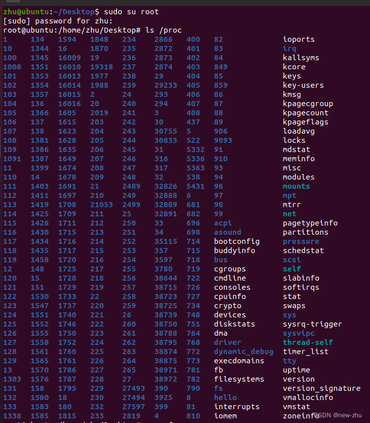 Linux中的proc文件操作操作系统 Proc 文件系统的实验 Csdn博客