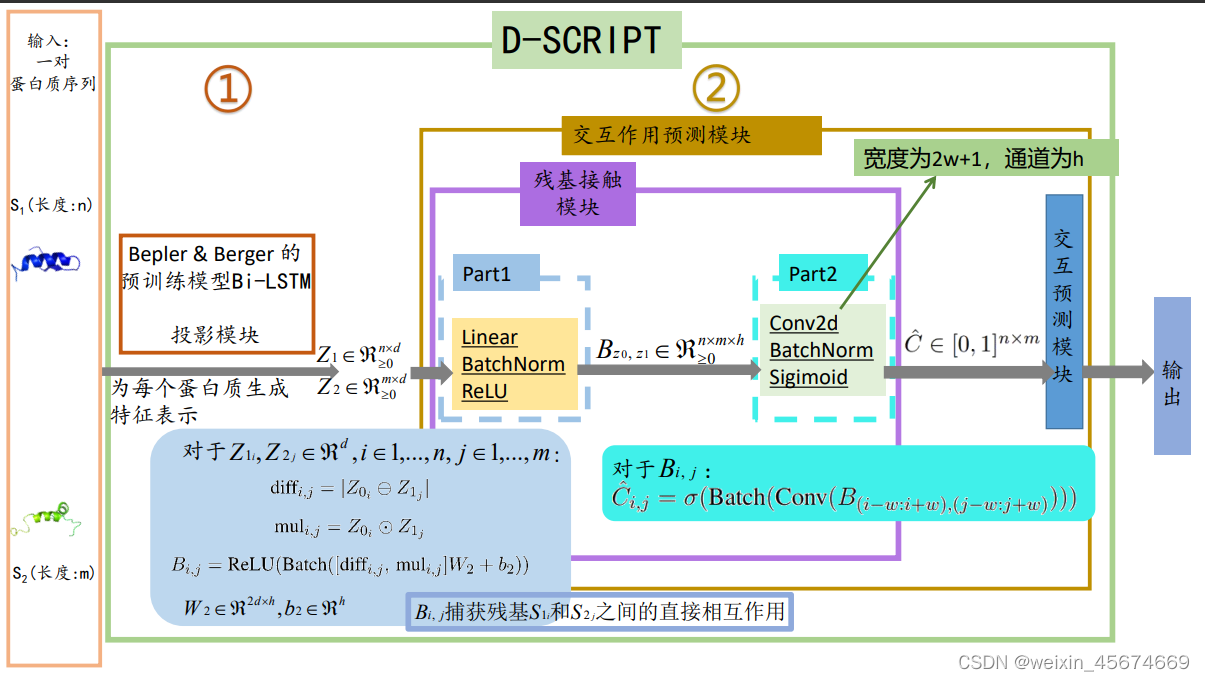 D-SCRIPT模型——基于蛋白质序列的蛋白交互预测模型-CSDN博客