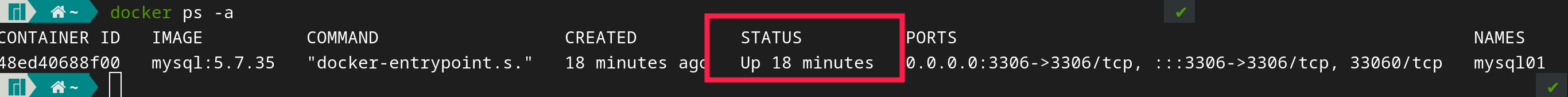 docker一条命令解决容器一启动就退出方法（通用任何镜像）_docker tail -f-CSDN博客