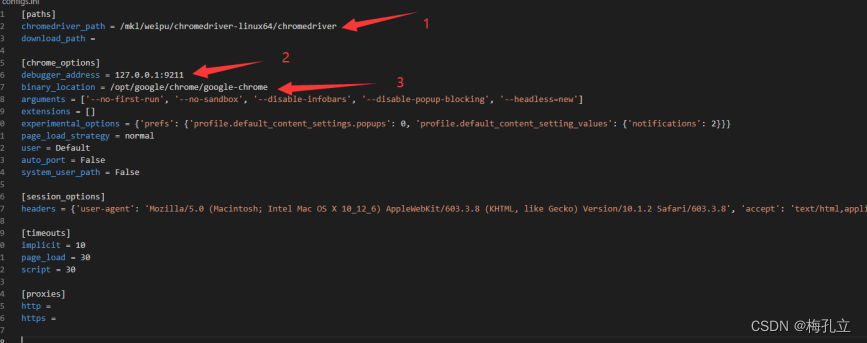 Python DrissionPage 爬虫 linux 部署说明 centos_drissionpage官网-CSDN博客