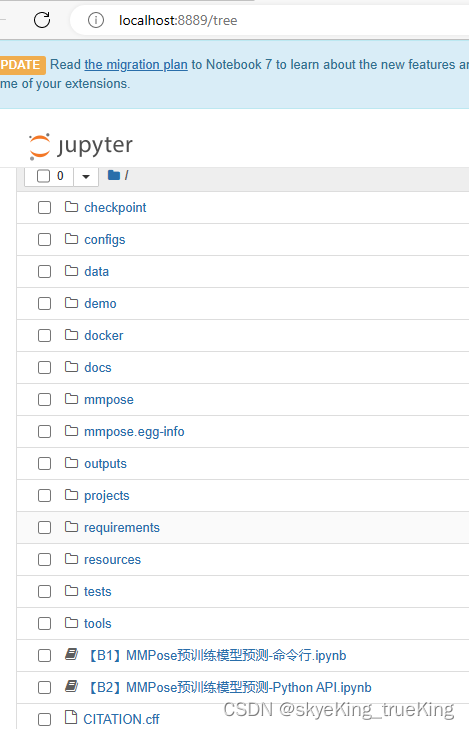 MMPose预训练模型预测-命令行_mmpose预训练模型预测视频-CSDN博客