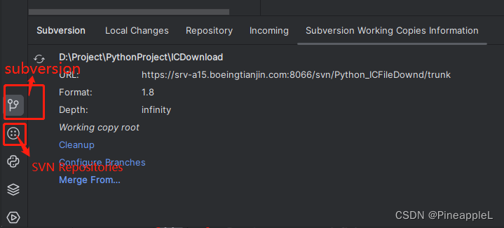 Pycharm+Tortoise SVN配置教程-CSDN博客