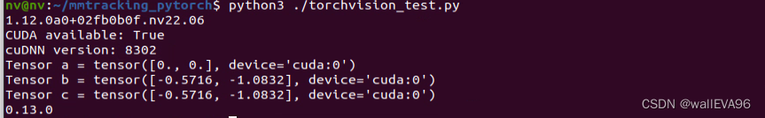 在Nvidia ORIN进行Pytorch，TorchVision，MMtracking的部署_orin本地部署模型-CSDN博客