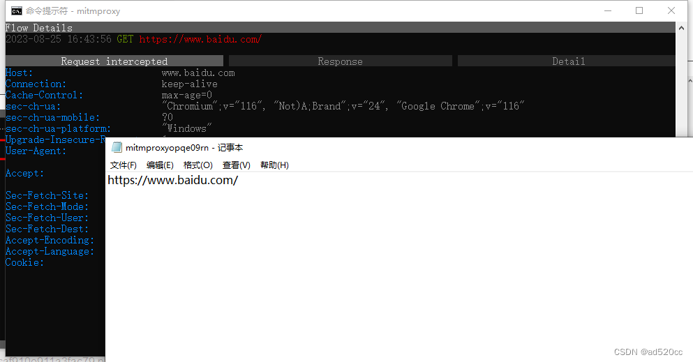 mitmproxy小白安装使用教程_mitmproxy安装-CSDN博客